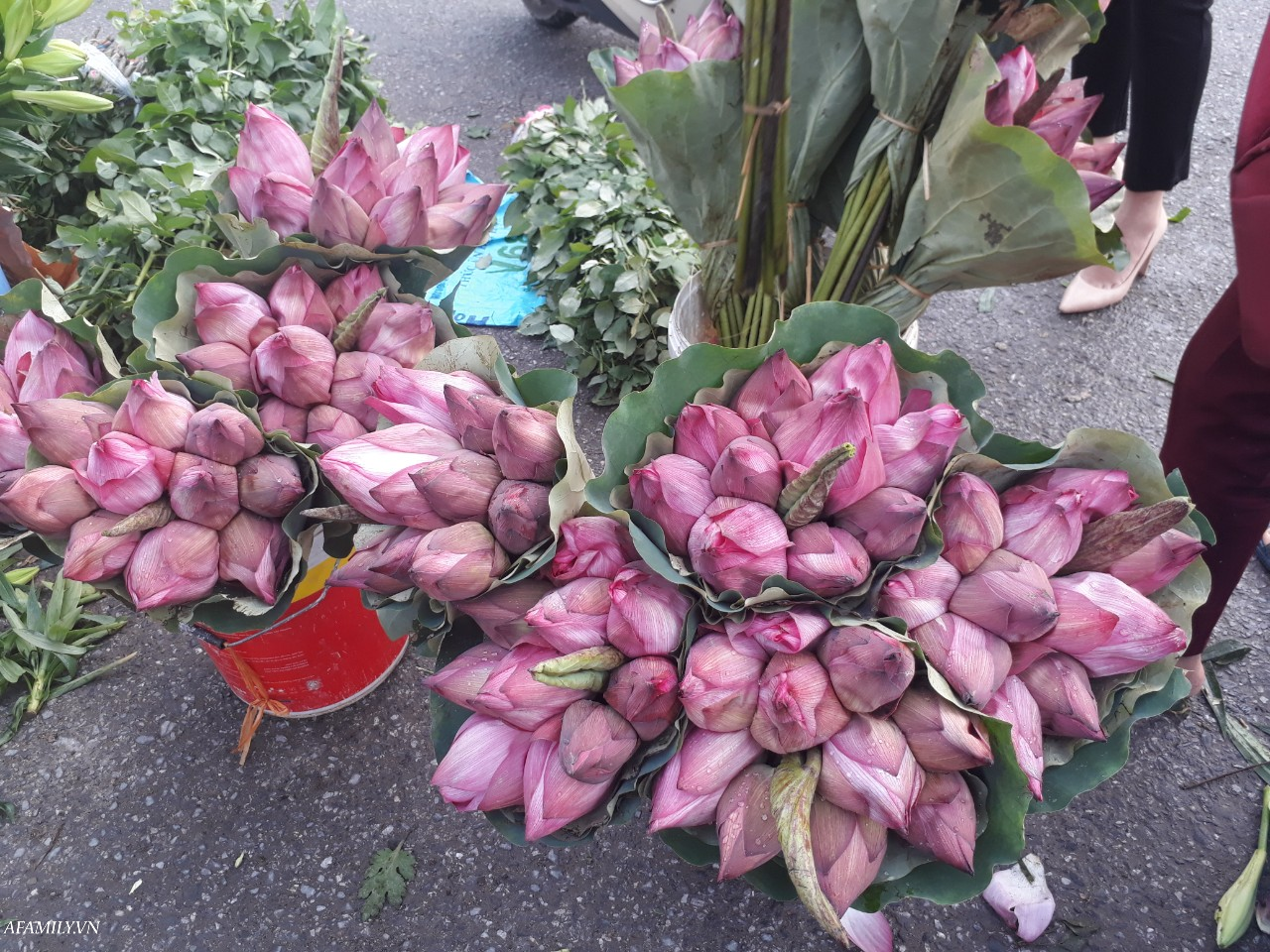 Giá hoa sen đầu mùa ở Hà Nội từ 30-120 ngàn đồng/bó