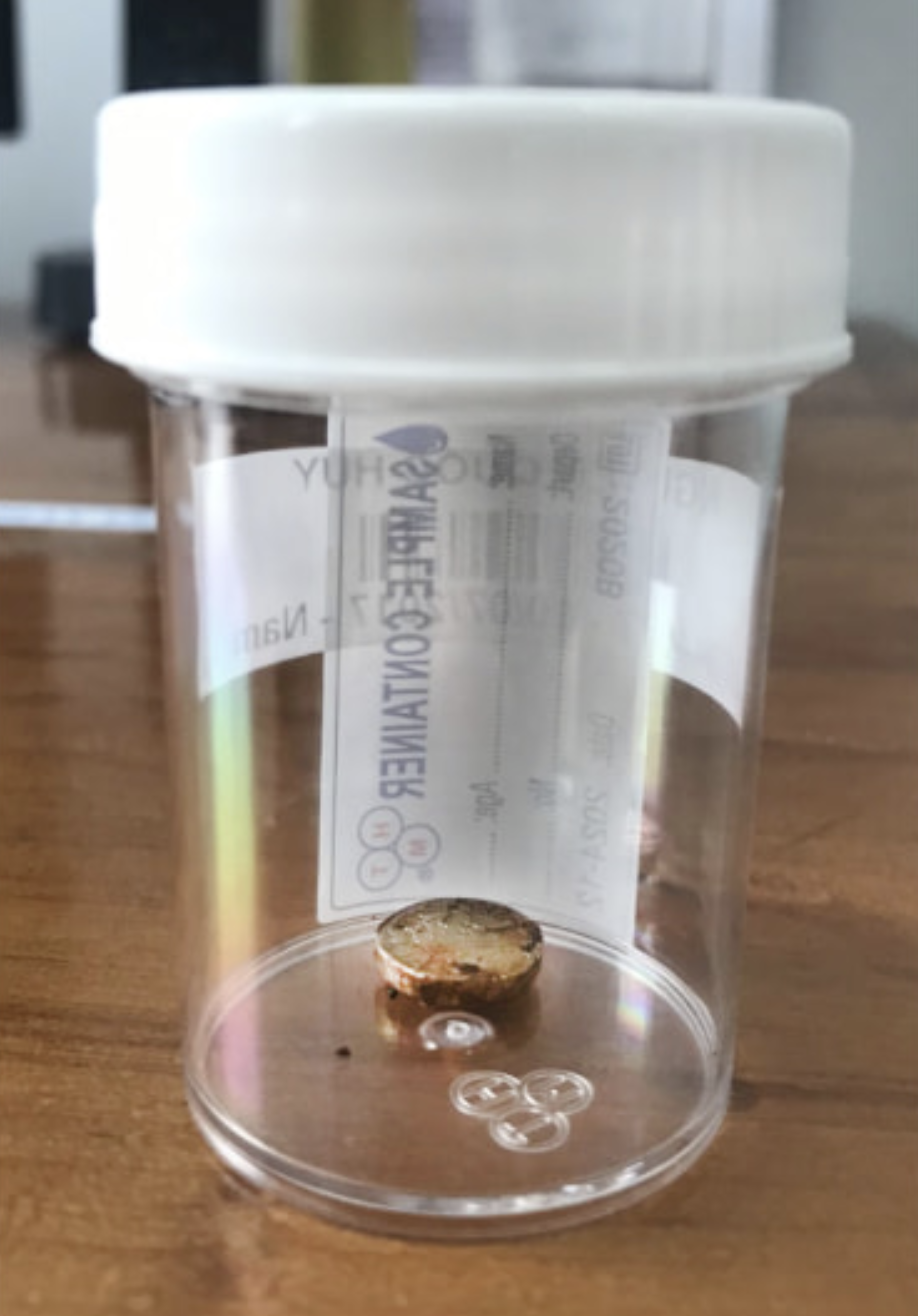 Cập nhật 61+ về hình vẽ cục pin hay nhất - kenmei.edu.vn