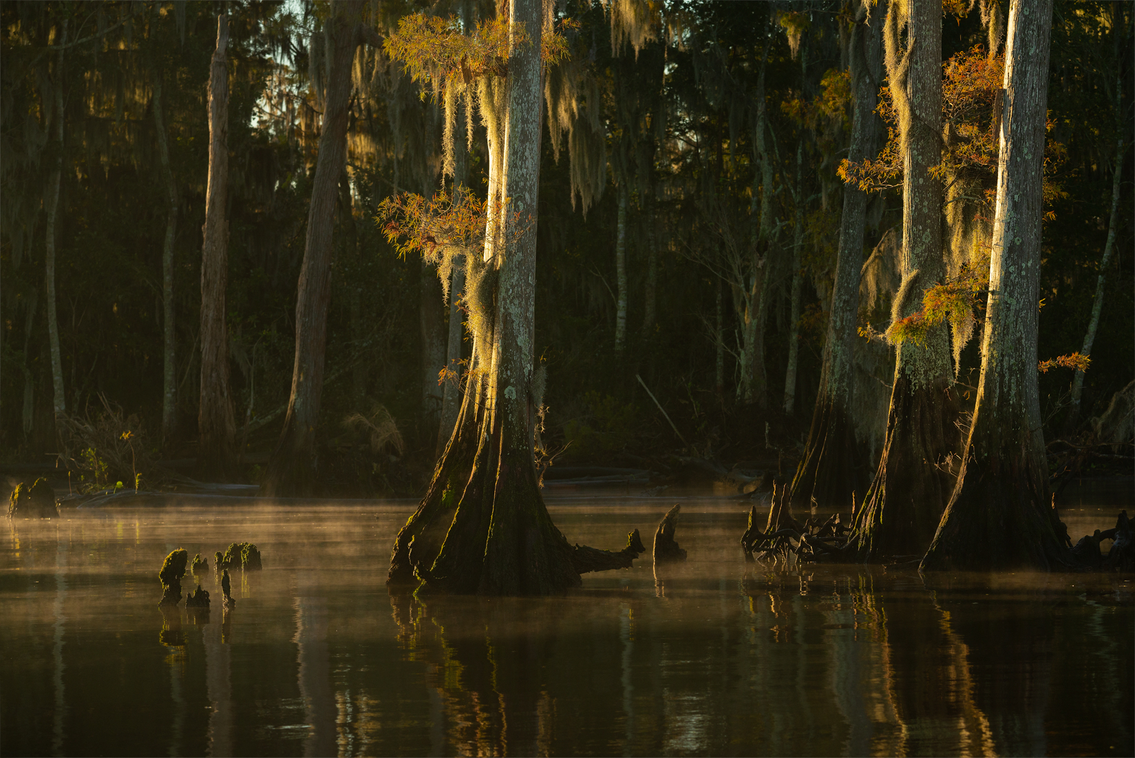 Bí ẩn đầm lầy gắn với lời nguyền của "hồn ma nữ vương"