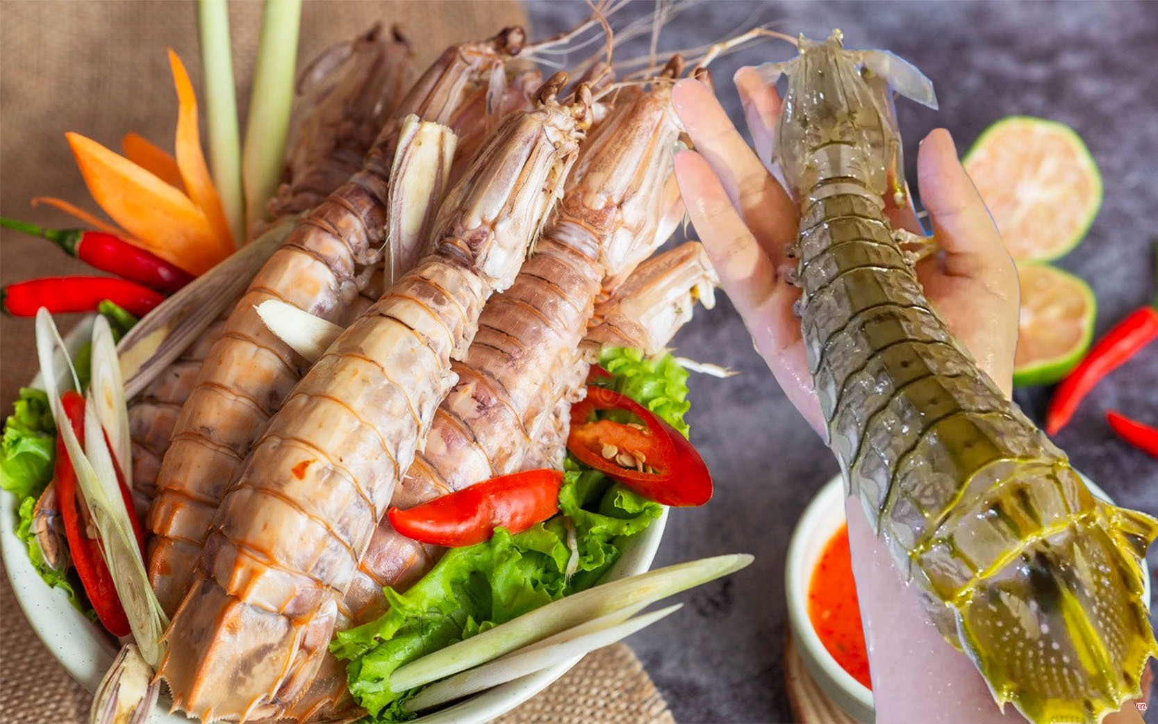 Bề bề chúa khổng lồ ngon hơn cả tôm hùm, giá gần 2 triệu/kg vẫn được ...