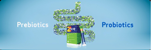Probiotic và Prebiotic trong men vi sinh Z:LAC Probiotics Formula ...