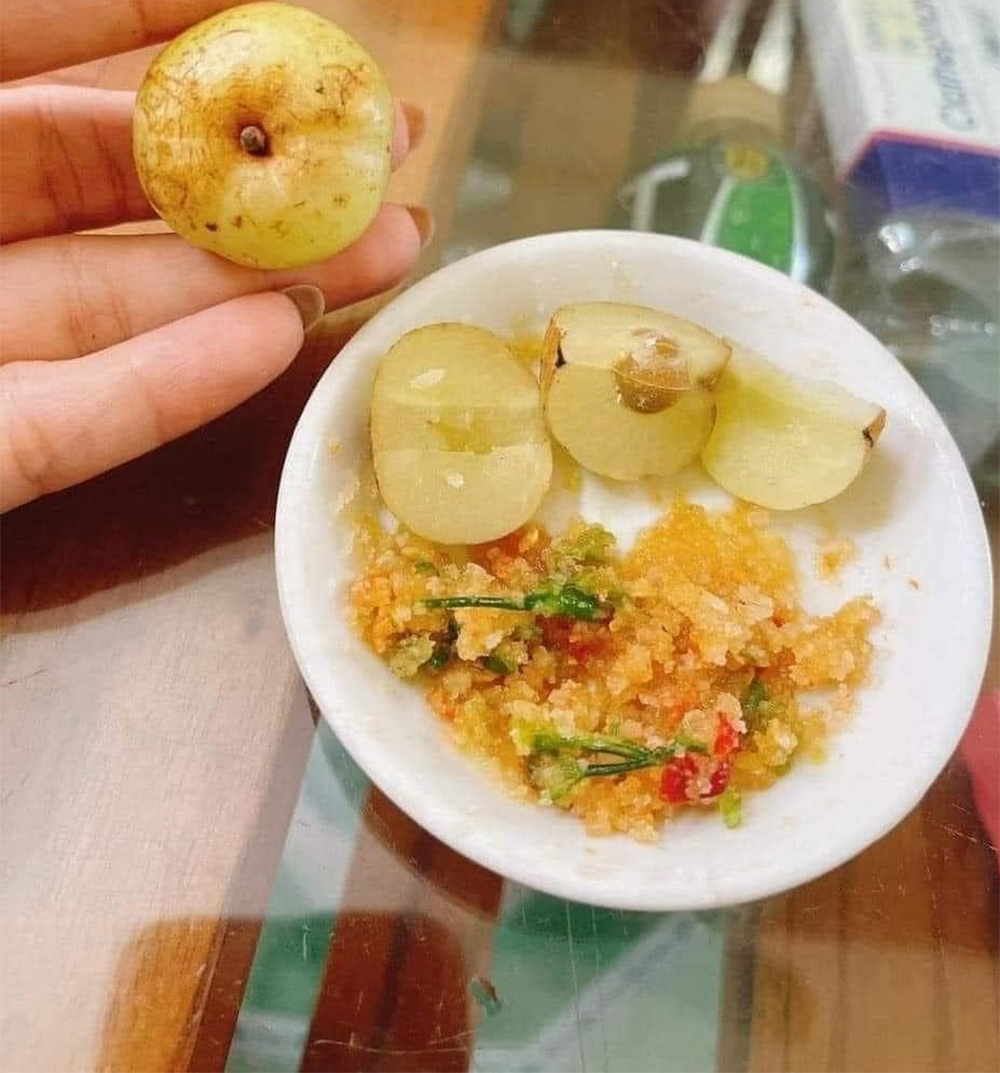 Không phải lê hay táo, mắc kham mới là thần dược bổ phổi và xương khớp