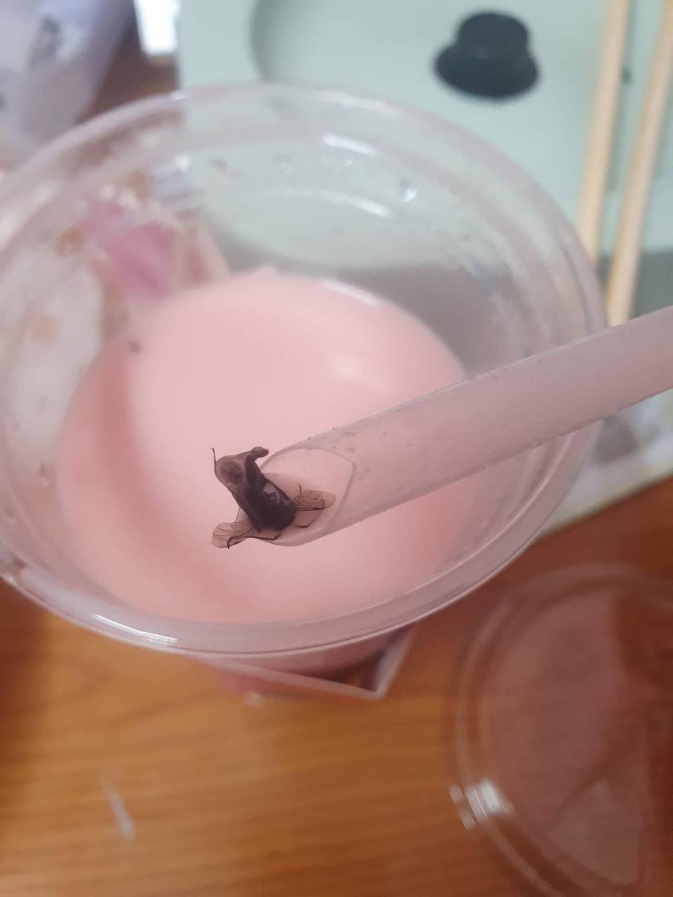 Hình ảnh con ruồi trong cốc trà sữa thương hiệu nổi tiếng ở Hà Nội gây ...