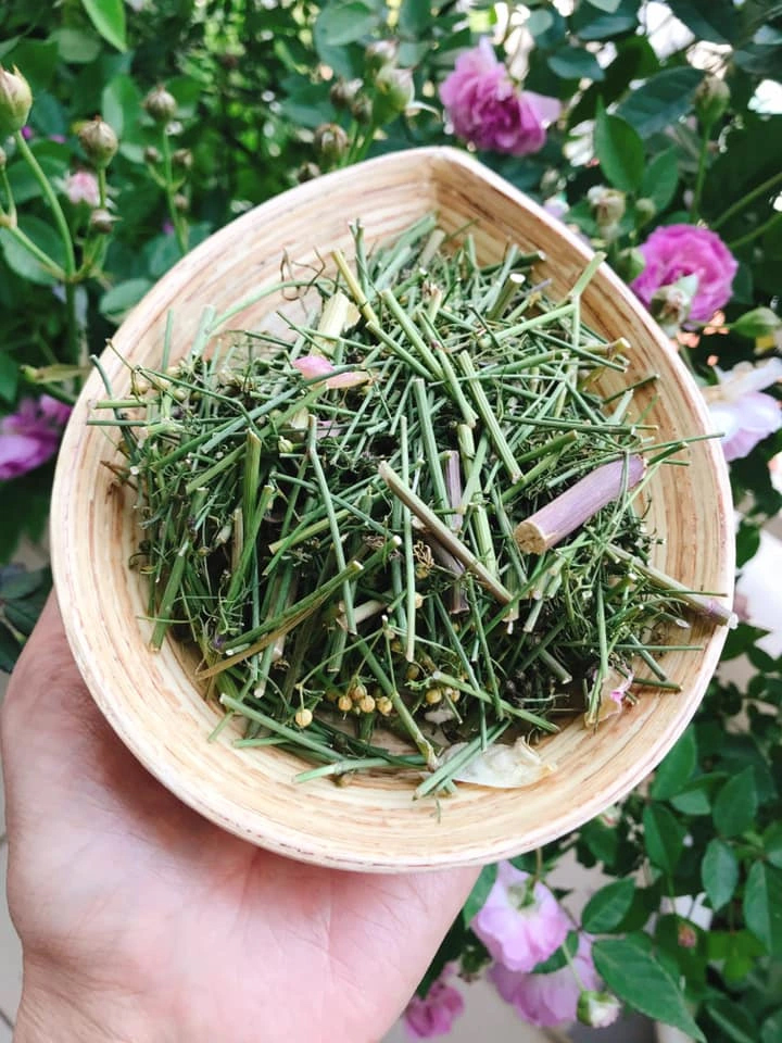 Tắm lá mùi già ngày Tết: Bí quyết cho làn da sáng hồng và sức khỏe