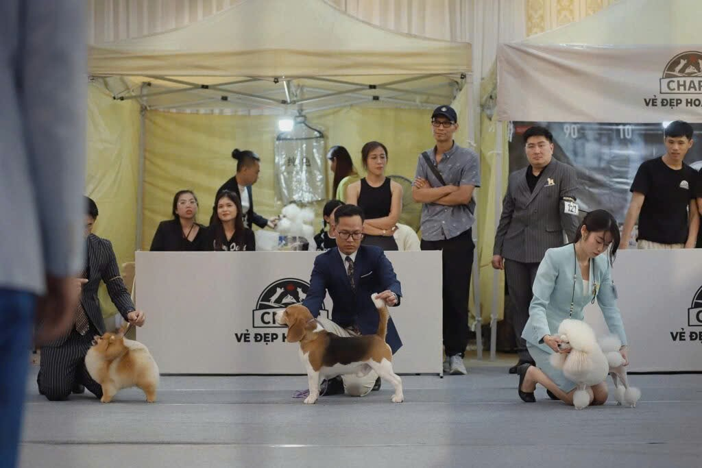 Triển lãm và Lễ hội Quốc tế Thú cưng lớn nhất Việt Nam InterPetFest 2025