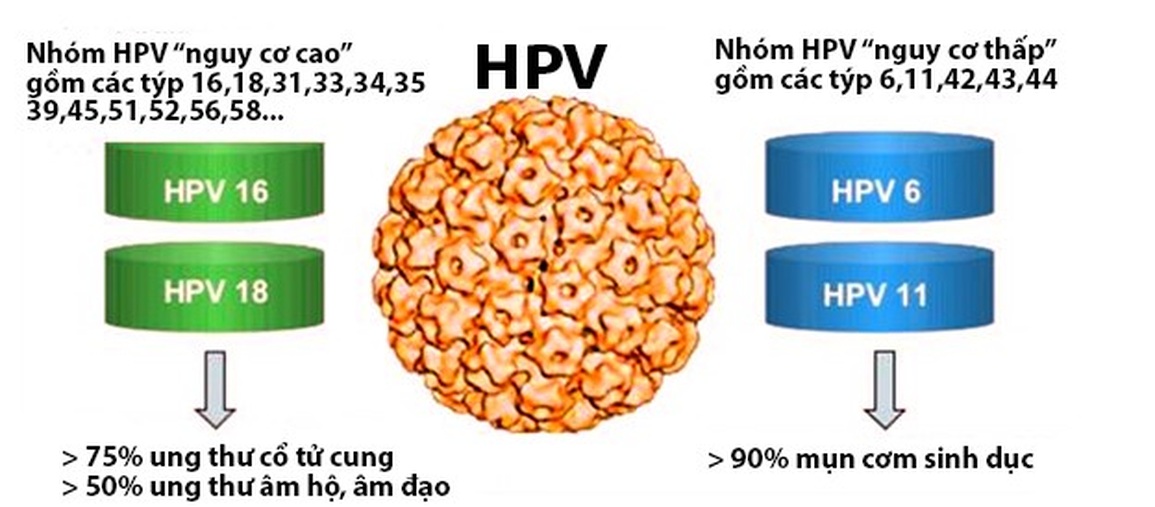 HPV - Hiểm họa trong thầm lặng: Hiểu đúng để phòng ngừa hiệu quả