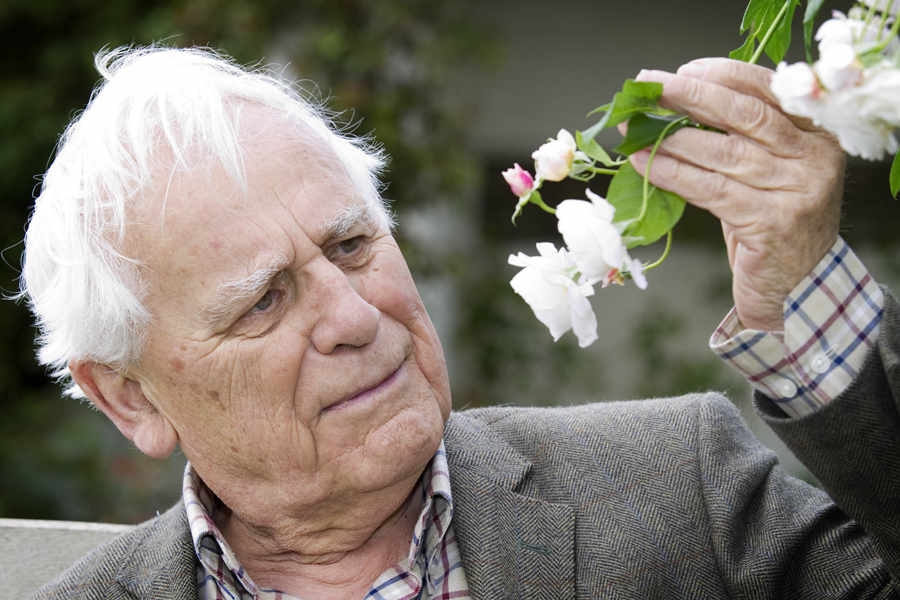 Khu vườn đẹp hơn cổ tích của "Vĩ nhân hoa hồng của thế giới"