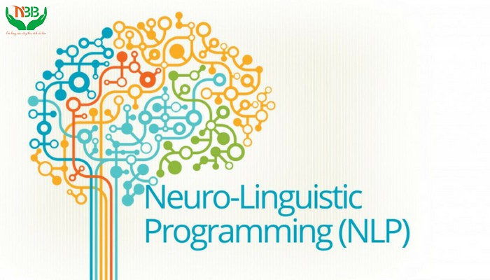 Master Coach NLP - Vì sao là nghề “cực hot” trong tương lai?