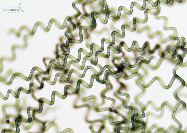 Tiến sĩ Y khoa Kristian Reich và hành trình tìm ra phát minh khoa học ...