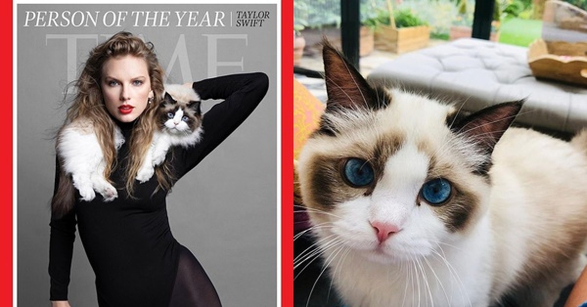 Mèo cưng của Taylor Swift có giá trị ước tính 2.400 tỷ VNĐ