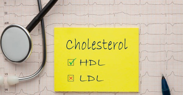 Thực phẩm tăng cholesterol tốt