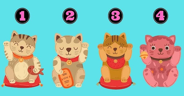 Con mèo bạn thích sẽ tiết lộ bạn là ai