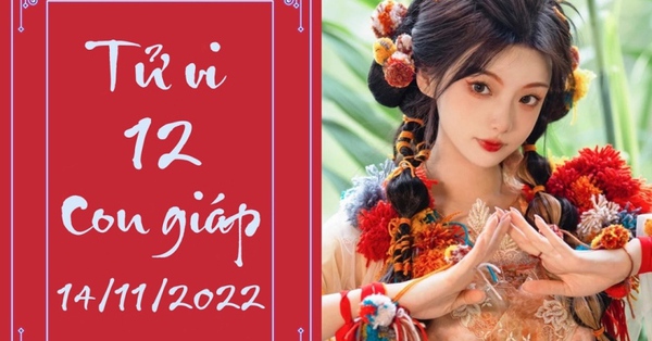 Tử vi 12 vui con giáp hôm nay thứ Hai ngày 14/11