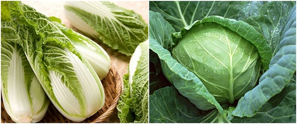 5 loại rau xanh trời càng lạnh càng phát triển tươi tốt