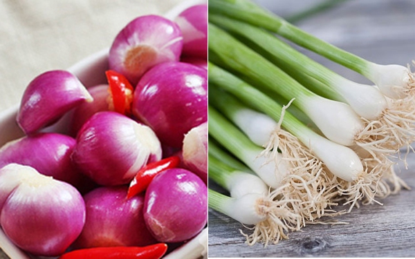Tác dụng đặc biệt của hành tím và hành hoa ít người biết