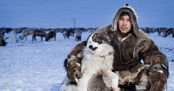 Khám phá cuộc sống của tộc người Eskimo ở Bắc Cực