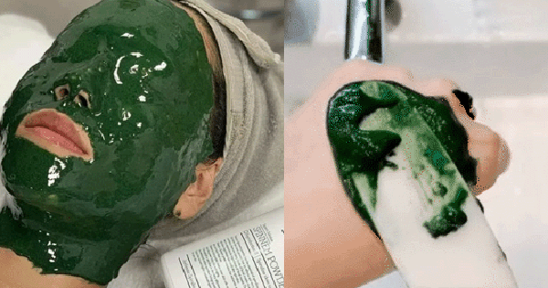 Review mask tảo xoắn Volayon Spinem Powder