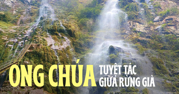 Thác Ong Chúa: Đẹp hơn tranh vẽ ẩn sâu trong rừng
