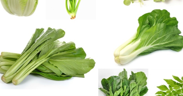 Cách phân biệt các loại rau cải