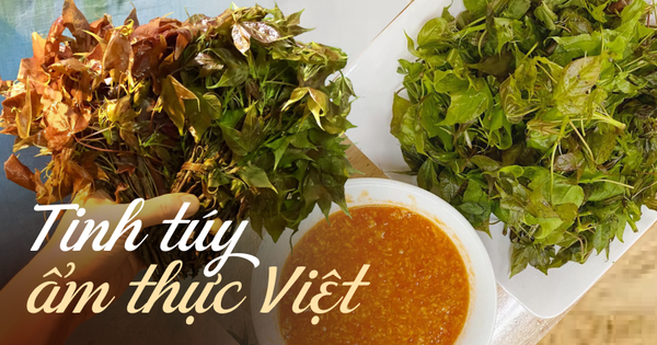 Sau sau - Loài rau sạch chỉ nảy búp vào mùa xuân mang hương rừng xứ Lạng