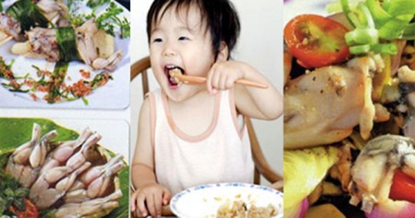 Thịt cóc có thật sự trị được bệnh còi xương?